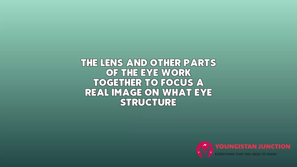 The lens and other parts of the eye work together to focus a real image ...