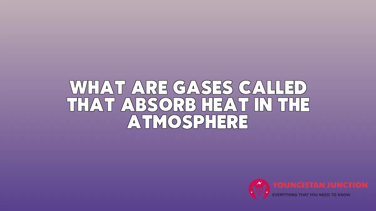 What are gases called that absorb heat in the atmosphere ...